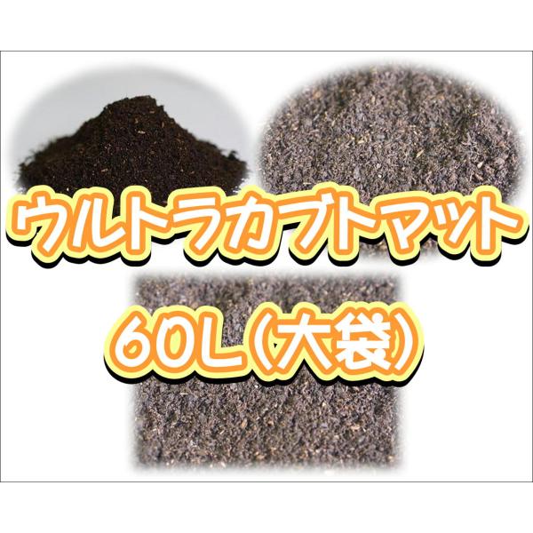 【商品名】ウルトラカブトマット【適用種類】カブトムシ全種（国産・外国産カブトムシの幼虫飼育に特に適しています）成虫：◎　幼虫：☆　産卵：◎【商品説明】完熟発酵のカブトマットに、添加発酵させた朽木(クヌギ・ナラ)を手間暇かけて、しっかりと混ぜ...