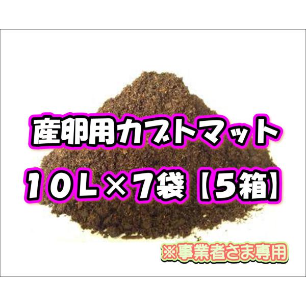 ※こちらの商品は企画サイズのため他商品との同梱はできません。 【適用種類】 カブトムシ全種 （国産・外国産カブトムシの幼虫飼育に特に適しています） 成虫：◎　幼虫：◎　産卵：☆【商品説明】 広葉樹１００％の菌床を４〜６ヶ月間かけて、完熟に発...