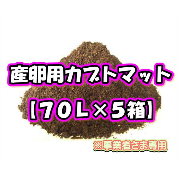 ★ヤマト運輸ご利用のお客様は、６０Ｌシリーズをご利用くださいませ。●発送方法：西濃運輸（事業者さま）※こちらの商品は企画サイズのため他商品との同梱はできません。 【適用種類】 カブトムシ全種 （国産・外国産カブトムシの幼虫飼育に特に適してい...