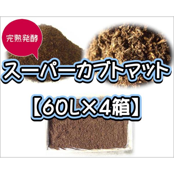 【適用種類】カブトムシ全種（国産・外国産カブトムシの幼虫飼育に特に適しています）成虫：◎　幼虫：☆　産卵：◎【商品説明】広葉樹１００％の菌床を４〜６ヶ月間かけて、完熟に発酵させたマットに７ｍｍに粉砕させたクヌギ等の朽木を混ぜ合わせて発酵させ...
