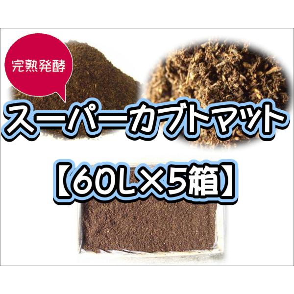 【適用種類】カブトムシ全種（国産・外国産カブトムシの幼虫飼育に特に適しています）成虫：◎　幼虫：☆　産卵：◎【商品説明】広葉樹１００％の菌床を４〜６ヶ月間かけて、完熟に発酵させたマットに７ｍｍに粉砕させたクヌギ等の朽木を混ぜ合わせて発酵させ...