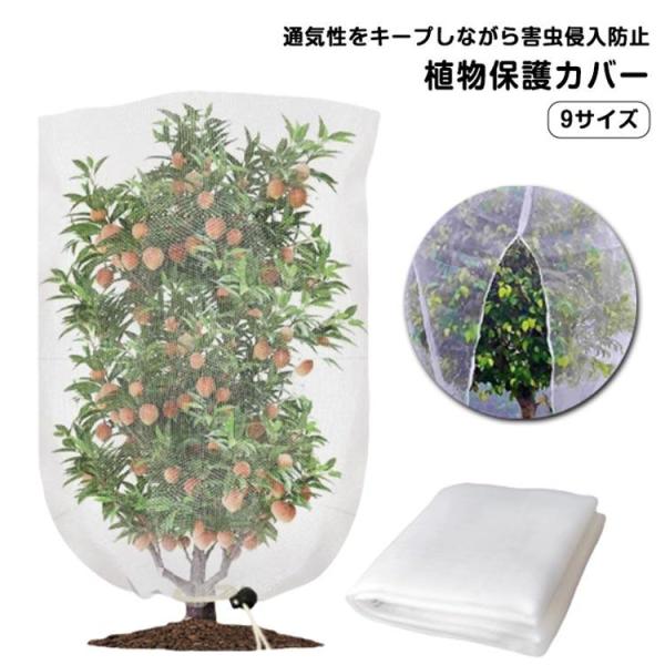 80*100cm 80*120cm 100*120cm 120*180cm 180*180cm 240*240cm 100*140cm 70*100cm 120*150cm