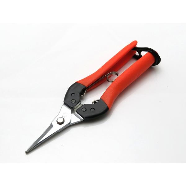 【特徴】・極限まで研磨し、収穫物を傷つけにくいした刃を実現しました。・(用途)・みかん・柿・梨・トマト等の収穫・軸切作業。・(機能・特徴)・刃部を表面はもちろん、側面、裏面にいたるまで極限までツルツルにして収穫物を傷つけにくい仕様に仕上がっ...