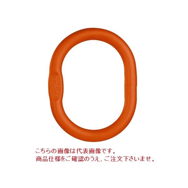 《仕様》●使用荷重：3.2t●重量：0.67kg《特長》●マスターリンクの内径が大きい為、太いサイズのクレーン用フック、特別なフックに適用出来ます。