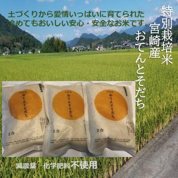 【発売日：2019年10月29日】「おてんとそだち」は、宮崎県の豊かな太陽の恵みをいっぱいに浴び、天然の鮎が育つ五ヶ瀬川（一級河川）の水で育った、高温登熟性、耐倒伏性に優れる特徴をもったお米です。土づくりから愛情いっぱいに育てられた、冷めて...