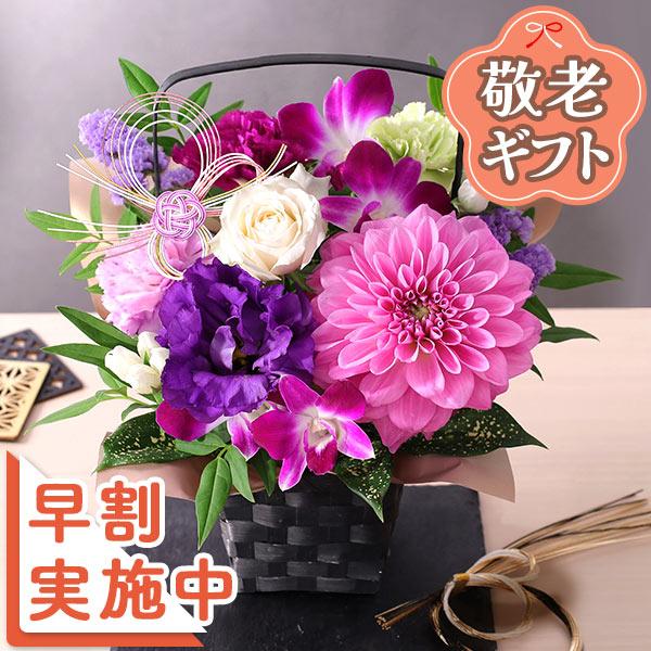 ※※※※※注意事項※※※※※【敬老の日ギフトのお届け日】敬老の日特集商品は2026年9月17日(木)〜21日(月)のいずれかにお届けいたします。※沖縄および離島へのお届けは承っておりません。ご注文された場合は、自動キャンセルとなります。何卒...