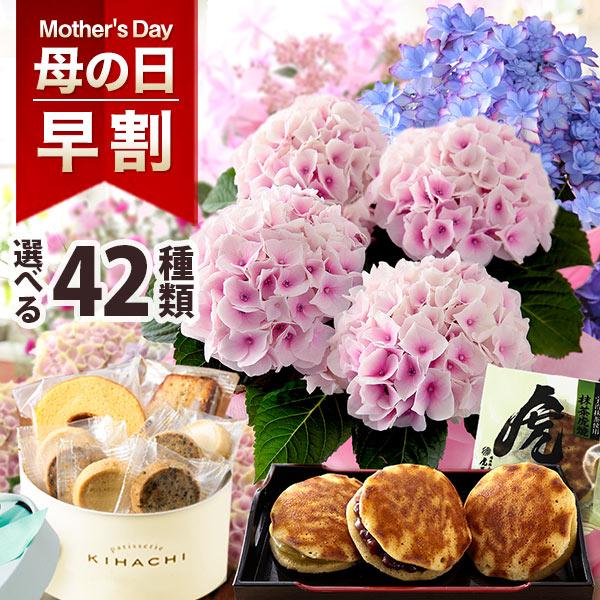 ※※※※※注意事項※※※※※【母の日ギフトのお届け日】母の日特集商品は2026年5月5日(火)〜10日(日)のいずれかにお届けいたします。※沖縄および離島へのお届けは承っておりません。ご注文された場合は、自動キャンセルとなります。何卒ご了承...