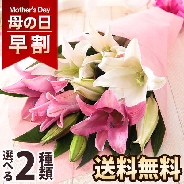 ※※※※※注意事項※※※※※【母の日ギフトのお届け日】母の日特集商品は2026年5月5日(火)〜10日(日)のいずれかにお届けいたします。※沖縄および離島へのお届けは承っておりません。ご注文された場合は、自動キャンセルとなります。何卒ご了承...