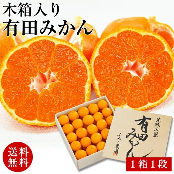 ●商品名有田みかん●内容量25〜30玉（約1.5kgほど）●みかんのサイズ2Sサイズ（直径 約5〜5.5cm）●箱サイズ縦270×横270×高さ100（mm）●原産地名和歌山県産有田市、有田郡●保存方法到着後は、風通しの良い冷暗所に保管して...