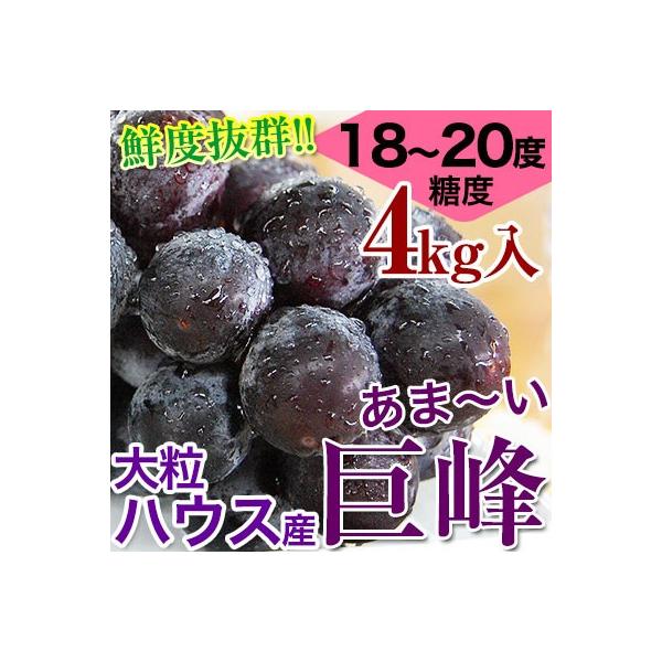 ハウス栽培ならではの美味しい巨峰を召し上がって頂きたい！ぶどうの王様と言われる果汁たっぷりの巨峰の甘み、コクを是非！