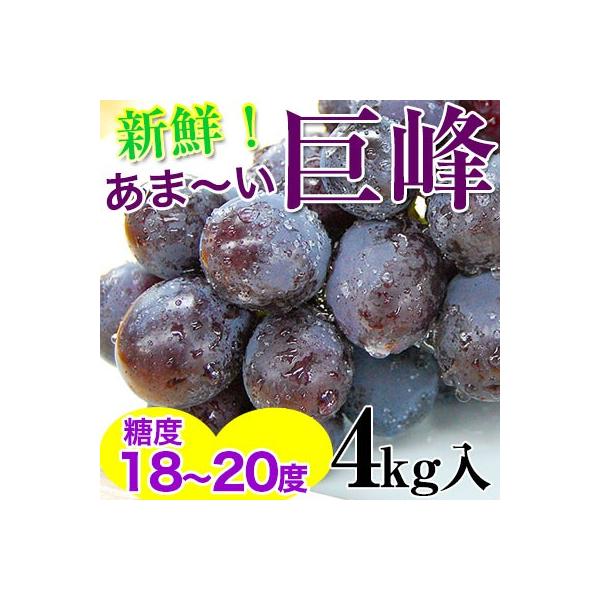 美味しい巨峰を召し上がって頂きたい！ぶどうの王様と言われる果汁たっぷりの巨峰の甘み、コクを是非！