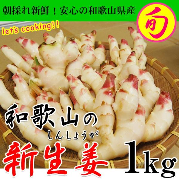 新生姜の出荷量、日本で第二位の和歌山の砂地から採れたてをお届け致します。