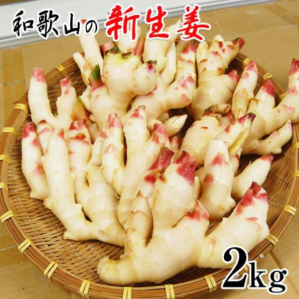 ●商品名和歌山の新生姜●内容量約２ｋg＋【美味しい新生姜レシピ】プレゼント♪●送料について送料：クール便送料1,000円（税抜）でお届けさせて頂きます.。但し、北海道へのお届けは1,840円(税抜)、沖縄へのお届けは2,040円(税抜)の送...
