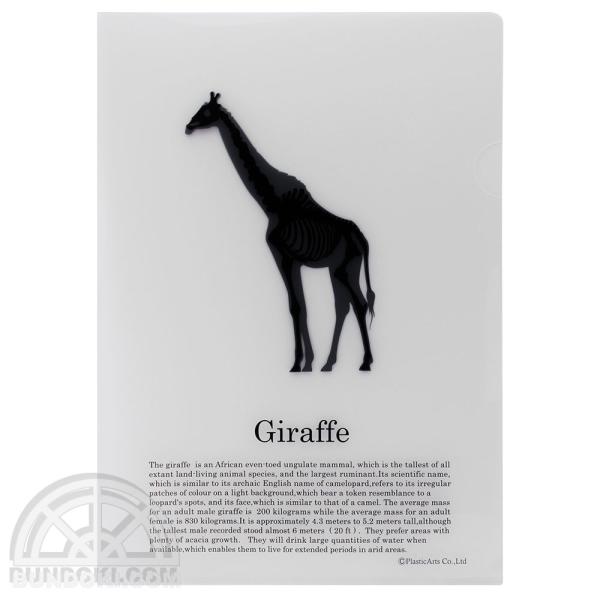 何も入れていないときは動物のシルエット。紙を入れると骨格のシルエットになるクリアフォルダーです。