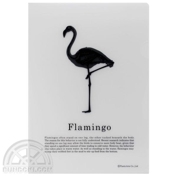 何も入れていないときは動物のシルエット。紙を入れると骨格のシルエットになるクリアフォルダーです。