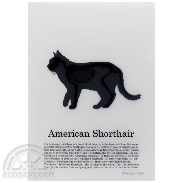 何も入れていないときは動物のシルエット。紙を入れると骨格のシルエットになるクリアフォルダーです。