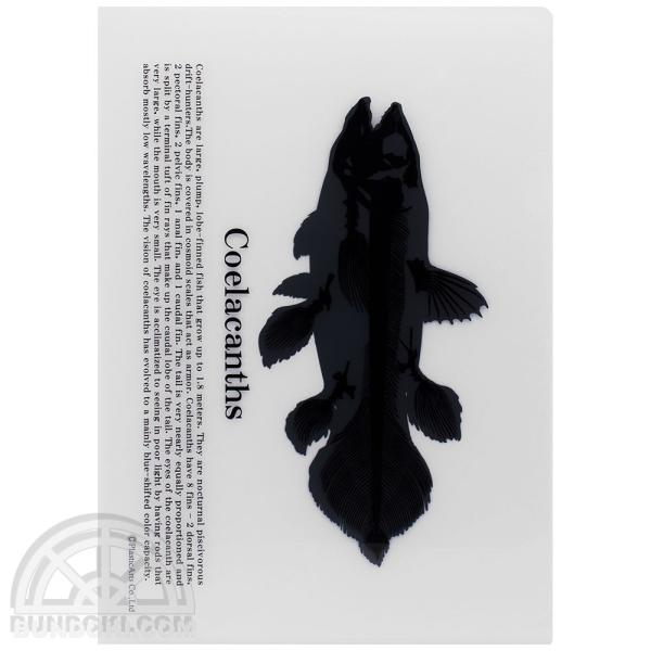 何も入れていないときは動物のシルエット。紙を入れると骨格のシルエットになるクリアフォルダーです。