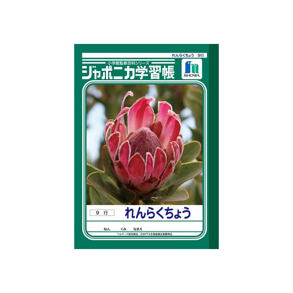 【仕様】●サイズ：Ａ５●対象学年：１〜３年生●１３ｍｍ縦罫　９行●注文単位：１冊　sch_no01