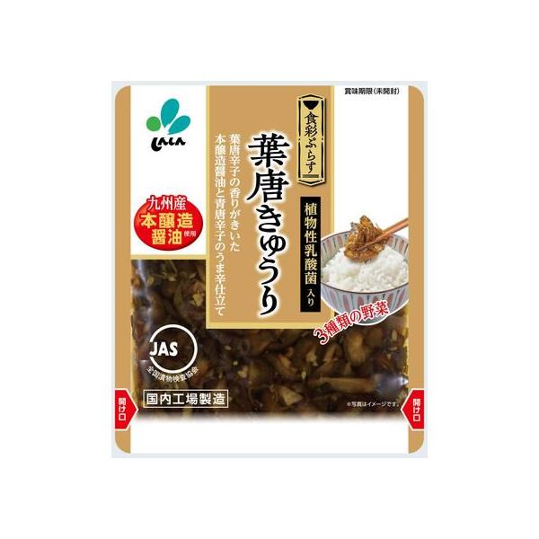 【商品説明】葉唐辛子と青唐辛子の入ったピリッと辛いきゅうりのしょうゆ漬です。【仕様】●注文単位：１個