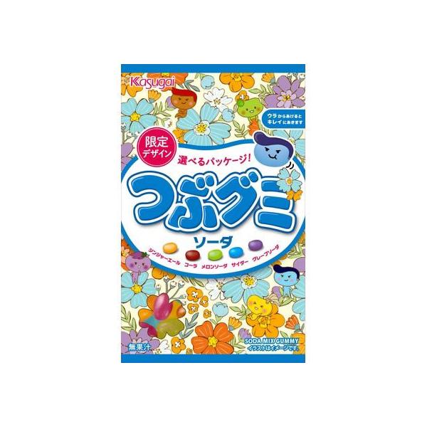 【商品説明】たっぷり入った5種類のソーダ味のグミ（ジンジャーエール、コーラ、メロンソーダ、サイダー、グレープソーダ）が小腹満たしを楽しくします。硬め食感でついつい食べちゃうアソートグミ。【仕様】●注文単位：１袋（８０ｇ）●５種類のソーダ味（...