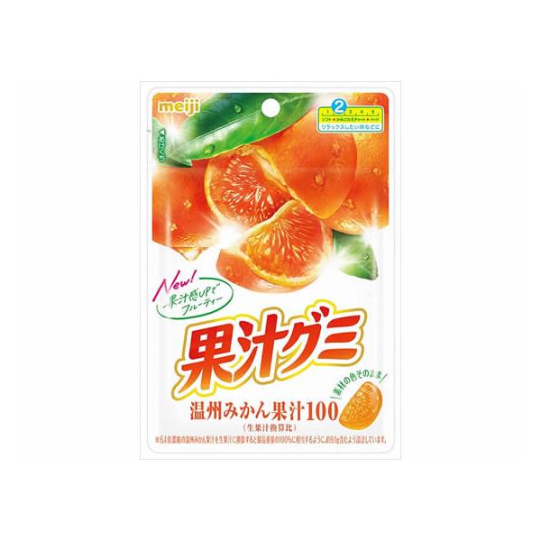 【商品説明】酸味と甘味のバランスが絶妙なあらごし果汁をブレンドしました。【仕様】●内容量：５４ｇ