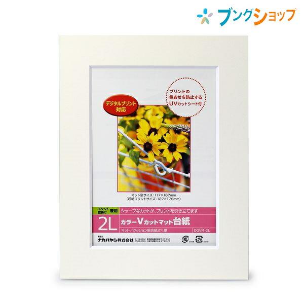 ◆マットサイズ ：外径:H228×W177×D4mm 内径：H167mm×117mm ◆収納用紙サイズ ：H178mm×W127mm ◆内容 ：Vカットマット台紙(クッション配合2mm厚)