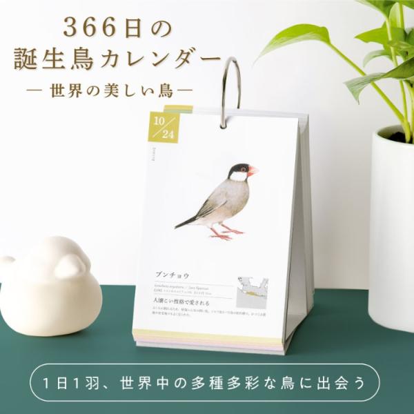 いろは出版 366日の誕生鳥カレンダー 世界の美しい鳥 卓上カレンダー 日めくり インテリア ギフト●サイズ・商品サイズ：W100×H190mm×D140mm(立てた状態)・パッケージサイズ：W105mm×H152×D55mm●仕様・カレン...