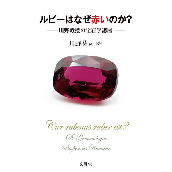 【発売日：2025年12月08日】ルビーはなぜ赤いのか？―川野教授の宝石学講座―川野祐司 著ISBN:978-4-8309-5306-4 C00702025年12月1日発行