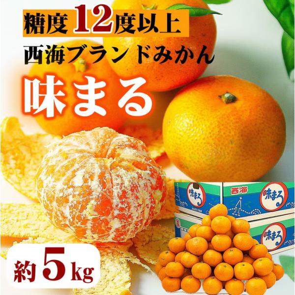 【発売日：2026年11月05日】【発送期間】11月上旬〜12月中旬【内容量】味まるみかん 2S 約5kg初めて食した際に、「これは、甘い！」「後味も濃厚」と、私がびっくりしたみかんがこれっ！さすが、「みかん王国」高糖度みかんの名産地長崎・...