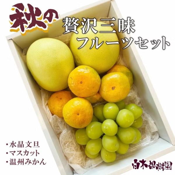【発売日：2026年09月25日】・特選水晶文旦小玉サイズ約400ｇ×2個・マスカット(シャインマスカットまたはクイーンルージュ）・温州みかん×5個発送期間：9月下旬〜10月下旬秋を代表するフルーツ・水晶文旦、マスカット(シャインマスカット...
