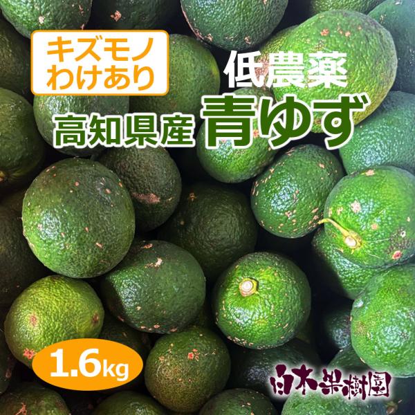 【発売日：2026年09月01日】【発送期間】2026年9月上旬〜【内容】青柚子　わけありキズモノ　 大小込々約1.6kg入り高知県は、ゆずの全国収穫量の約半分を占める、日本一の産地です。緑色果皮の柚子をお届けします。農薬をほとんど使用して...