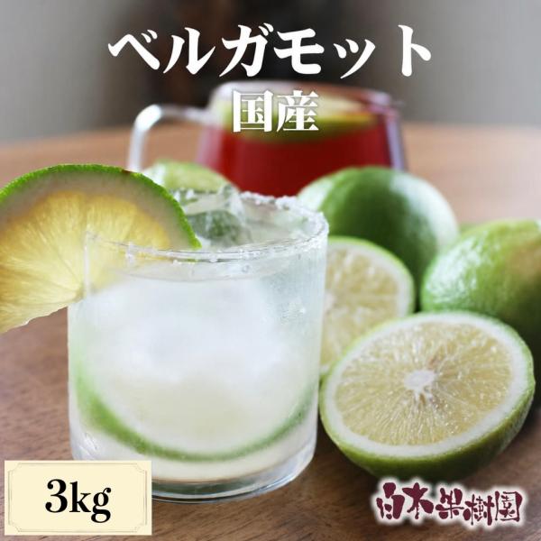 【発売日：2026年09月05日】白木果樹園産 国産ベルガモット 約3kg 15〜24個入りサイズ：大〜小混合非常に珍しい国産のベルガモットの果実です。精油として使われることの多い柑橘ですので、果実での提供は非常に珍しいものとなります。紅茶...