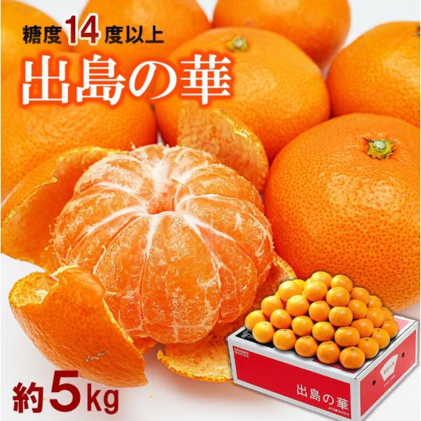 【発売日：2026年12月15日】【数量限定品】・2Sサイズ　約5kg（60-65個）・発送期間：12月中旬〜12月下旬全国で大人気のみかんの為、要予約品・数量限定品さすが、「みかん王国」高糖度みかんの名産地長崎西海こだわりブランドみかん。...