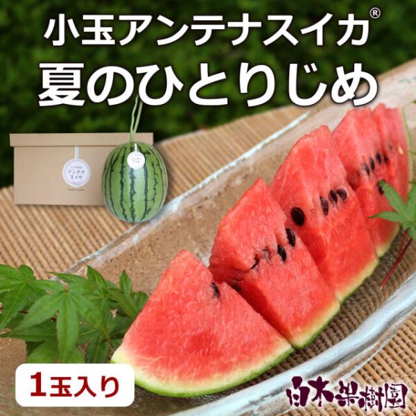 【発売日：2026年07月10日】・夏のひとりじめ（小玉スイカ赤肉）約2.5kg×1玉入り赤肉で糖度14度前後の食べきりサイズのスイカです。※北海道・沖縄へのお届けは別途送料となります。　北海道は1,500円、沖縄は1,700円を、ご注文後...