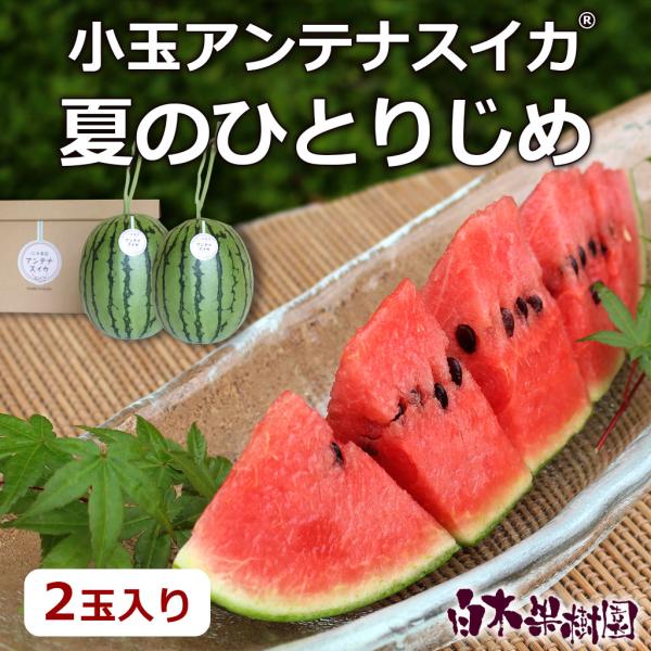 ・夏のひとりじめ（小玉スイカ赤肉）約2.3kg×2玉入り赤肉で、糖度はマスクメロン並みの14度前後あります。少人数のご家庭にも喜ばれています。※北海道・沖縄へのお届けは別途送料となります。　北海道は1,500円、沖縄は1,700円を、ご注文...