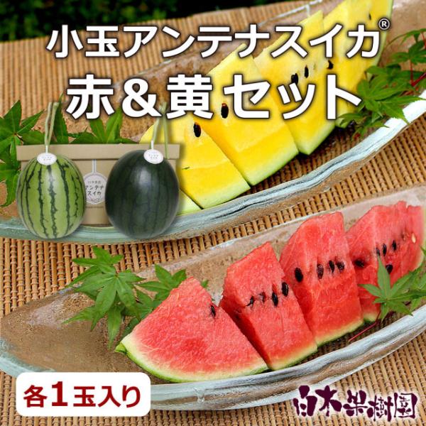 【発売日：2026年07月05日】・夏のひとりじめ（小玉スイカ赤肉）約2.3kg×1玉・イエローボンボン（小玉スイカ黄肉）約2.3kg×1玉☆数量限定☆なくなり次第の終了です。※北海道・沖縄へのお届けは別途送料となります。　北海道は1,50...