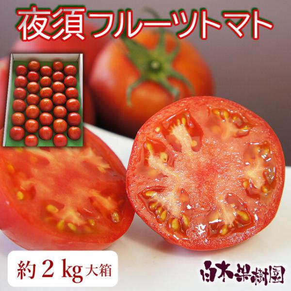 【発売日：2026年02月05日】・夜須のフルーツトマト　約30〜45個入り　（自然のものなので、収穫日によって大きさが一定ではなく、大きさによって個数が変わります。）送料込み（北海道は別途遠方送料1,500円、沖縄は別途遠方送料1,700...