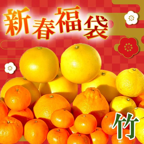 【発売日：2026年01月05日】2026年白木果樹園新春福袋販売期間：2025年11月12日〜2026年1月4日発送期間：2026年1月6日（火）〜13日（火）　ご予約受付順に発送致します。　発送までにお時間がかかる場合がありますのでご了...