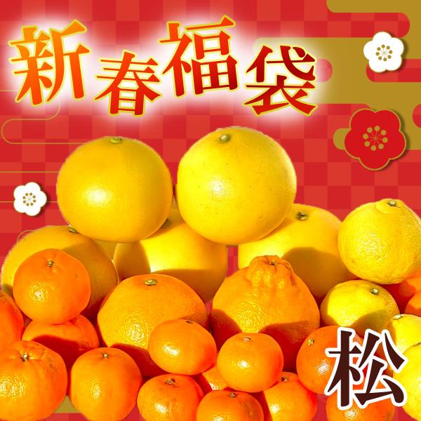 【発売日：2026年01月05日】2026年白木果樹園新春福袋販売期間：2025年11月12日〜2026年1月4日発送期間：2026年1月6日（火）〜13日（火）　ご予約受付順に発送致します。　発送までにお時間がかかる場合がありますのでご了...