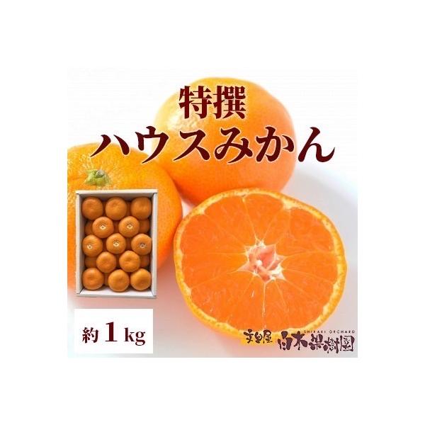 6月10日（水）まで　通常販売価格4,800円のところ【早割5％OFF】4,560円夏ギフトにご利用で、お届け時期にご希望がある場合は備考欄にご記入ください。ご希望がない場合は、ご用意でき次第の発送でお手配致します。・特選ハウスみかん　約1...