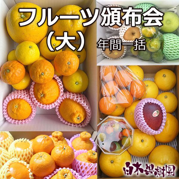 毎月20日頃の発送です（8月はお休みです）白木果樹園自慢の四季折々の文旦を中心に、園主が厳選した旬の果物をお得に詰め合わせてお届けします。＜大＞コースは、3〜5名様向けの目安量でご用意いたします。月6,300円×11回＝69,300円(税込...