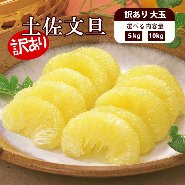 【発売日：2026年02月05日】内容量：大玉2L〜3Lサイズ　16〜22個入高知県から春の特産柑橘「土佐文旦（とさぶんたん）」をお届けします。南国・高知の恵まれた気候と豊かな自然の中で育てられた文旦は、春限定の味覚として全国に多くのファン...