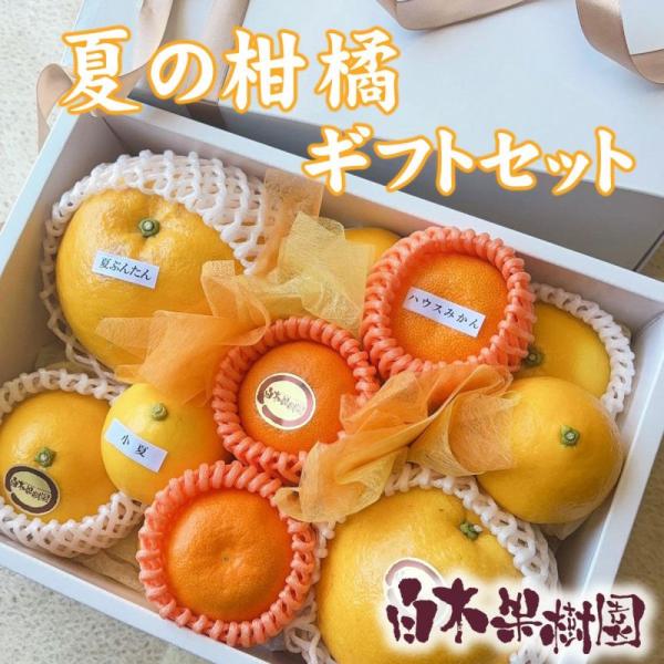 【発売日：2026年05月25日】夏ギフトにご利用で、お届け時期にご希望がある場合は備考欄にご記入ください。ご希望がない場合は、ご用意でき次第の発送でお手配致します。・夏ぶんたん 2個・小夏 6個・ハウスみかん 5〜8個発送期間：5月下旬〜...