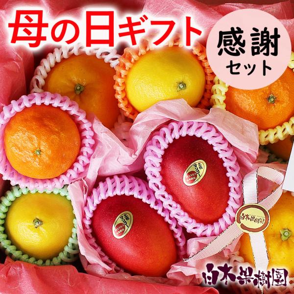 【発売日：2026年04月21日】【4月20日まで】早期ご予約で＜5％OFF＞！通常価格 6,800円 → 今だけ 6,460円【送料無料】【ギフト包装無料】※北海道、沖縄・離島は別途送料母の日ギフトにぴったり！数量限定「柑橘詰め合わせ」高...