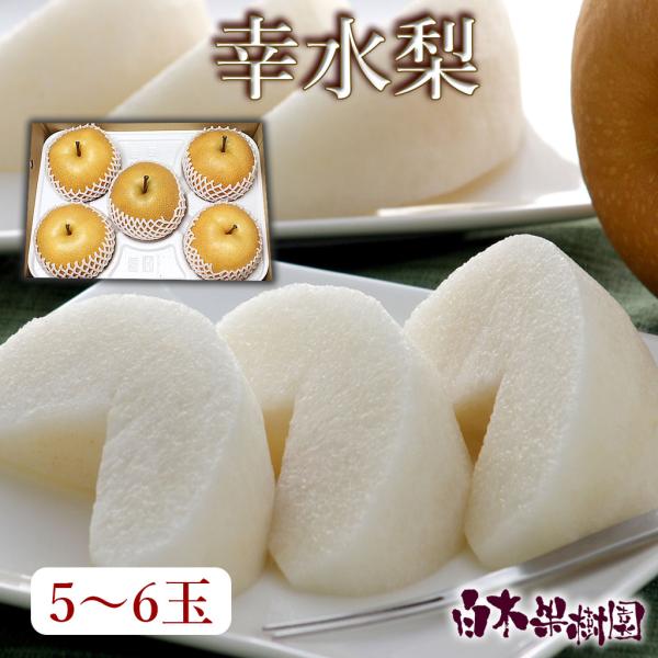 「幸水梨」はジューシーで果肉がやわらかく、甘味が強いのが特長です。幸水梨と豊水梨のかけあわせでできた「秋水梨」は、シャリっとした果肉で甘さにコクがあります。ほのかな酸味が合わさって、甘さとのメリハリがある「凛夏（りんか）」は、残暑を癒してく...