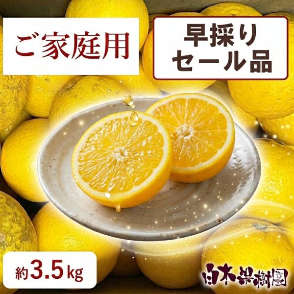 【発売日：2026年04月15日】【商品記号】KO-H3【商品名】早採りわけあり「小夏」家庭用セール品　約3.5kg【ギフト対象外】【発送期間】4月下旬〜数量限定無くなり次第終了【内容】早採りわけあり「小夏」家庭用セール品　約3.5kg　2...