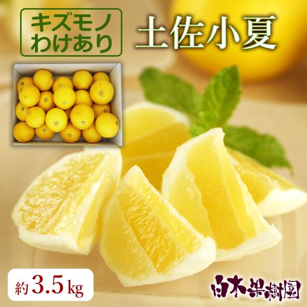 ・小夏わけありご家庭用 約3.5kg　S〜2Lサイズ（20〜30個入り）・発送期間：4月上旬〜6月下旬2Sサイズから2Lサイズまで大小混合、少人数のご家庭にちょうどサイズの量です。こちらの商品は、ギフト対応の対象外です。・保存期間：常温で到...