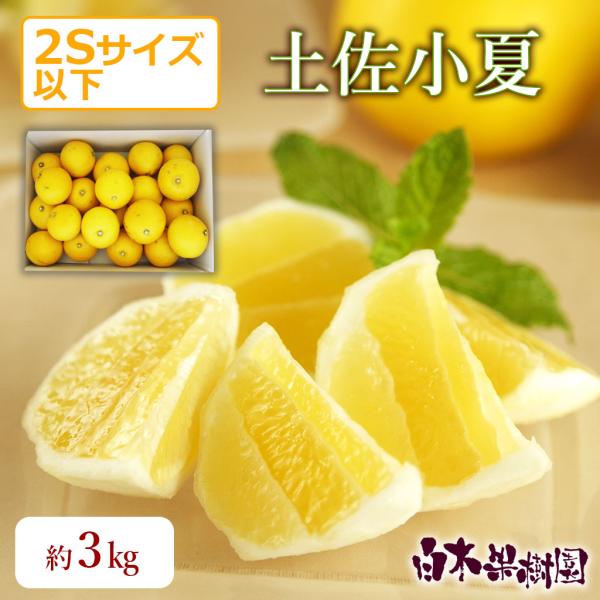 ・プチマル小夏　わけありご家庭用 約3kg　2Sサイズ以下の小粒(約45〜50個)・発送期間：4月上旬〜6月下旬2Sサイズ以下の小粒ばかりです。小夏の旨みを濃厚に感じていただけます。4月上旬〜5月中旬頃は「甘熟とさ小夏」、5月中旬〜6月下旬...