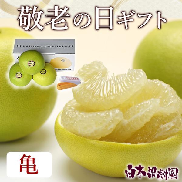 【発売日：2026年09月13日】・お届け指定日：9月19日（土）〜21日(月・祝)（17日午前8時までにご注文の場合）19日〜21日以外でお届けのご希望がある場合は、備考欄にご記入ください。場合によっては敬老の日に間に合わないことがありま...