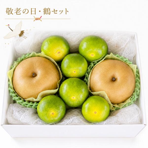 【発売日：2026年09月13日】・お届け指定日：9月19日（土）〜21日(月・祝)（17日午前8時までにご注文の場合）19日〜21日以外でお届けのご希望がある場合は、備考欄にご記入ください。場合によっては敬老の日に間に合わないことがありま...